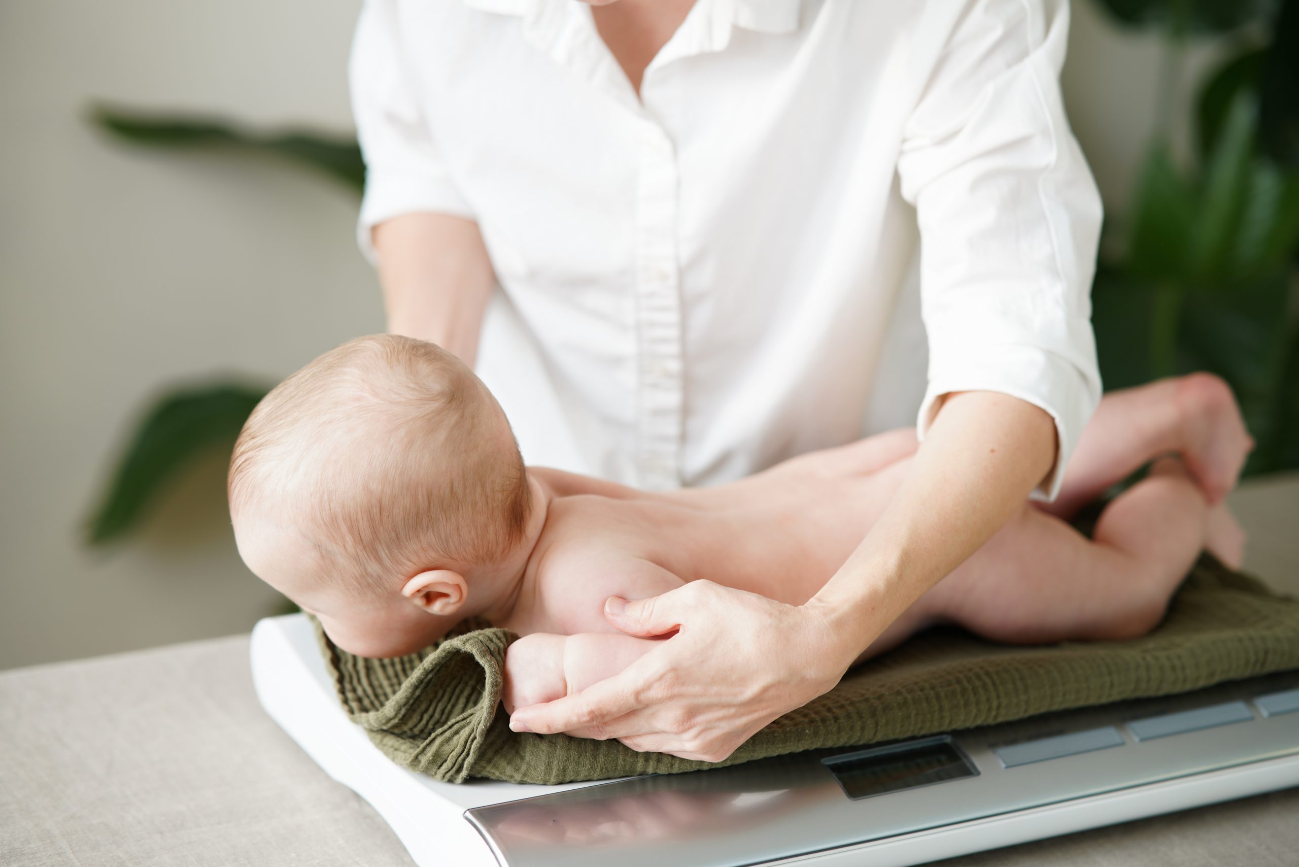 What are the parts of the pediatric balance? - Kalstein France